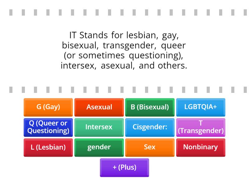 What Does LGBTQIA+ Mean? Understand Why the Acronym Is Used and What It ...