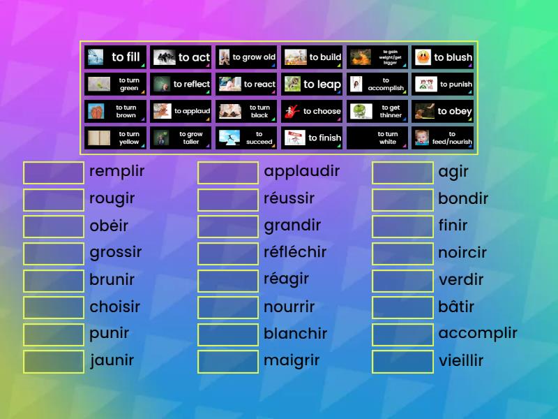 French IR Verbs (Matchup) - Match up