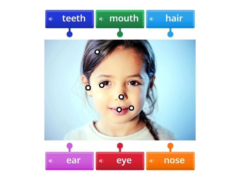 Face - Labelled diagram
