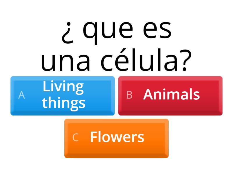 The cell - Cuestionario