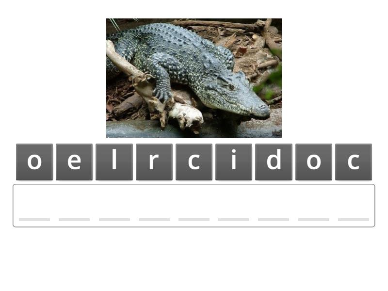 Bloggers 2 - Unit 3A animals - Anagram