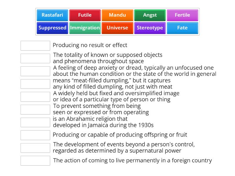 The Sun is Also a Star Vocabulary - Match up