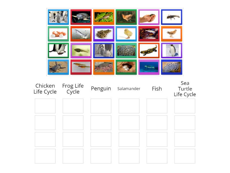 Life Cycle Sort - Group sort