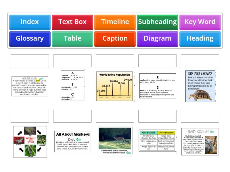 Informational Text Features Practice - Match up
