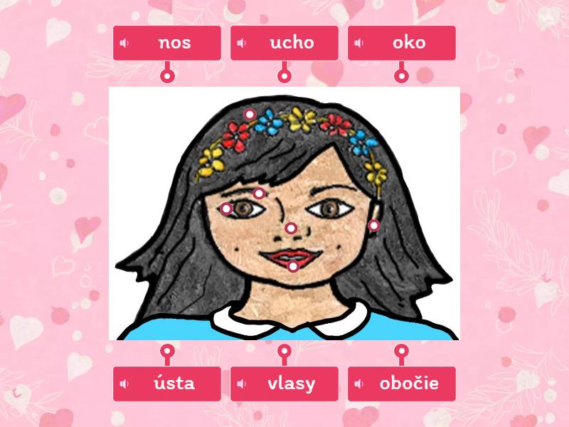 Časti tela - hlava - Labelled diagram