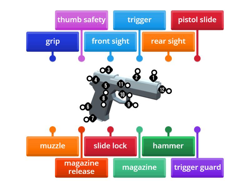 ESP 7. Parts of a firearm, task 11 - Labelled diagram