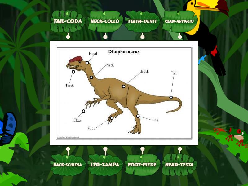 BODY PARTS WITH DINOSAUR - Labelled diagram