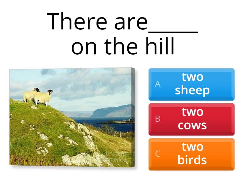 sheep fish mouse duck p.7 - Quiz