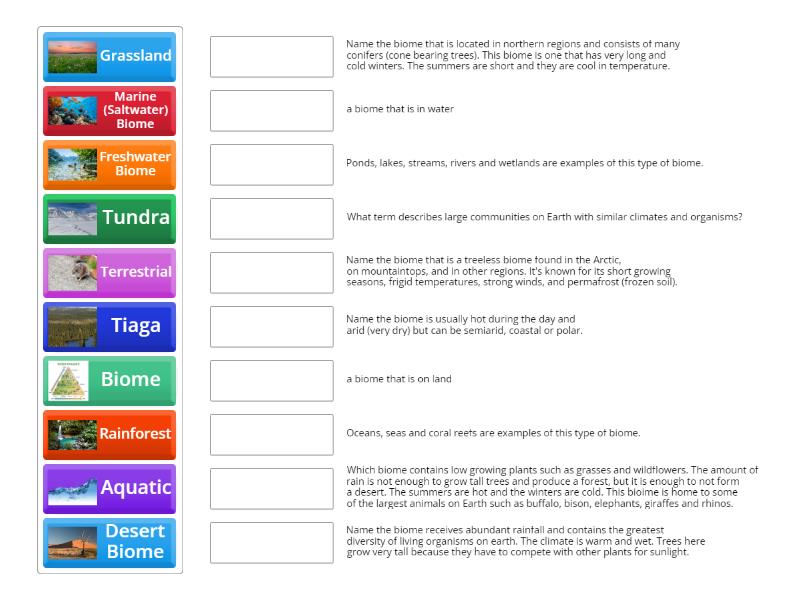 Test Review Part #1: Terrestrial and Aquatic Biomes - Match up