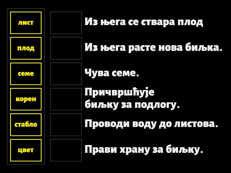 Делови биљке Match Up