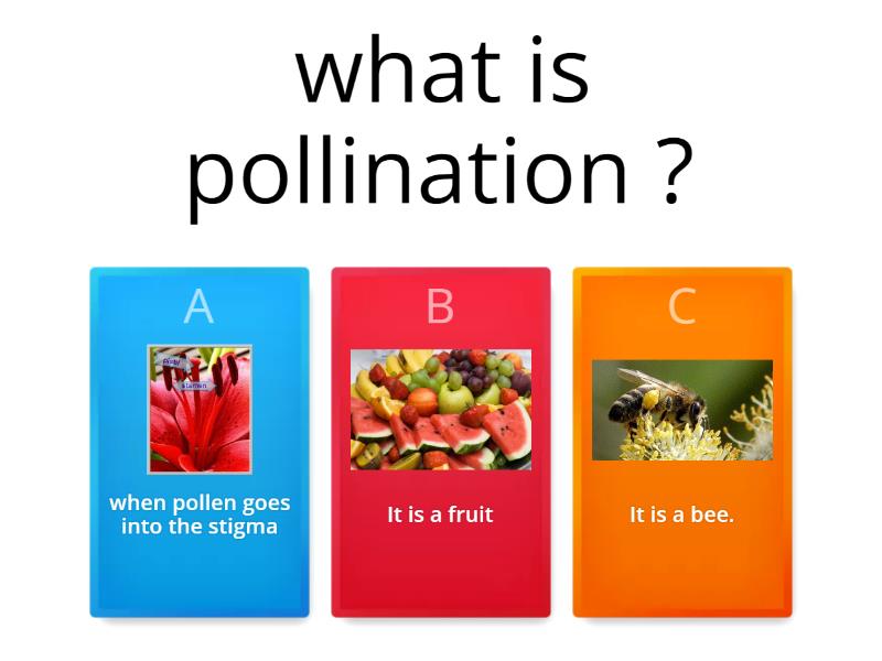 Pollination - Quiz