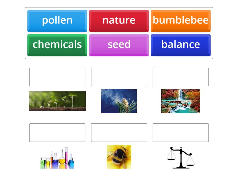 Pollination - Match up