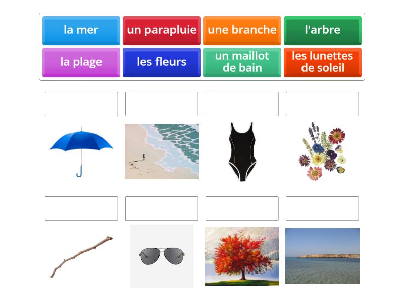 A1 nature - Match up