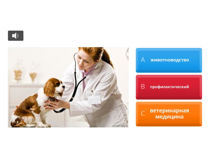 vet 1 - Quiz