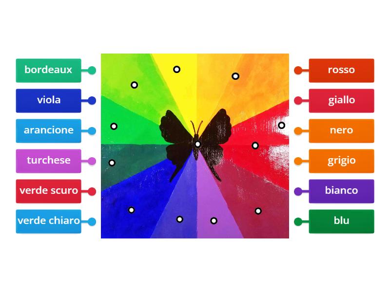 Che colore è? - Labelled diagram
