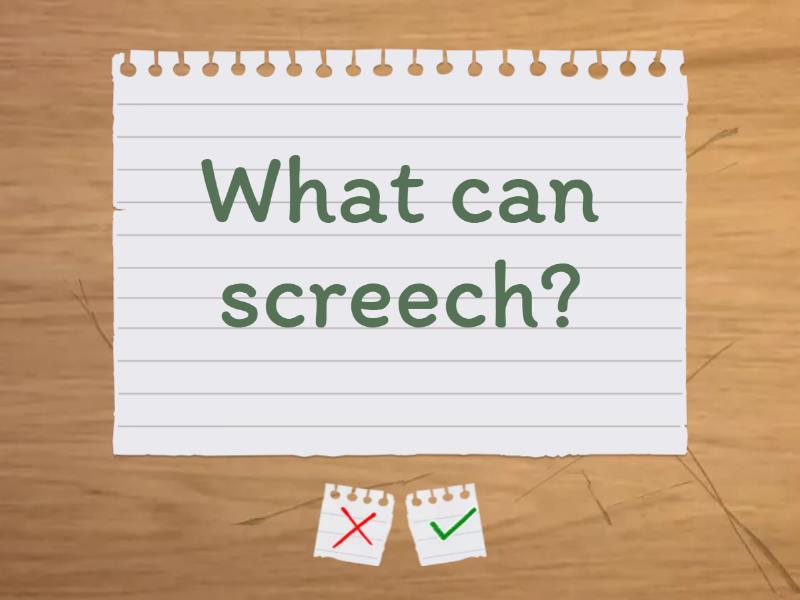 High Note 4, Unit 5 - Sounds - Flash cards