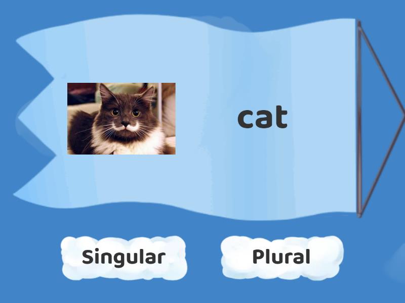 vvvvvvvvvv - True or false