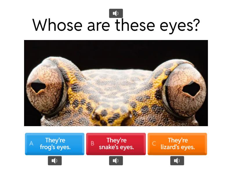 Whose are these eyes?/Whose/Possessive 's/Animals/Pets - Cuestionario