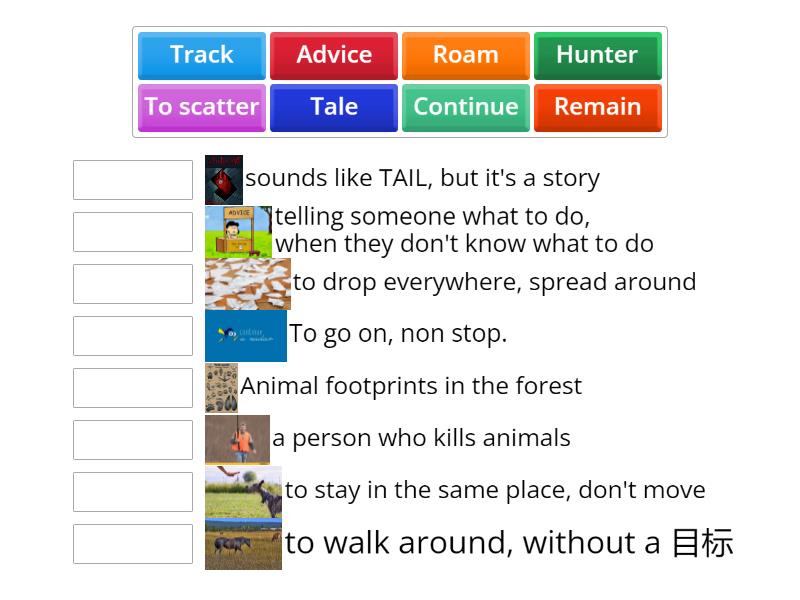 The Earth under Sky Bear's Feet - Match up