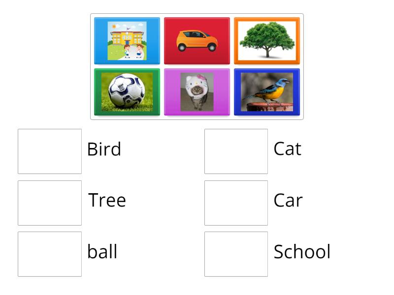 What is that? - Match up
