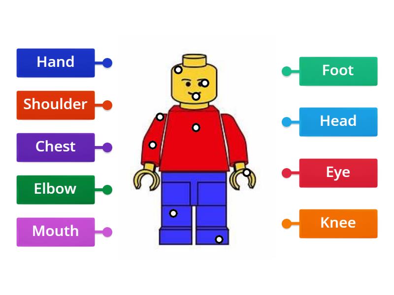 Lego Person - Labelled diagram