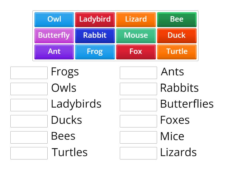 plural animals - Match up