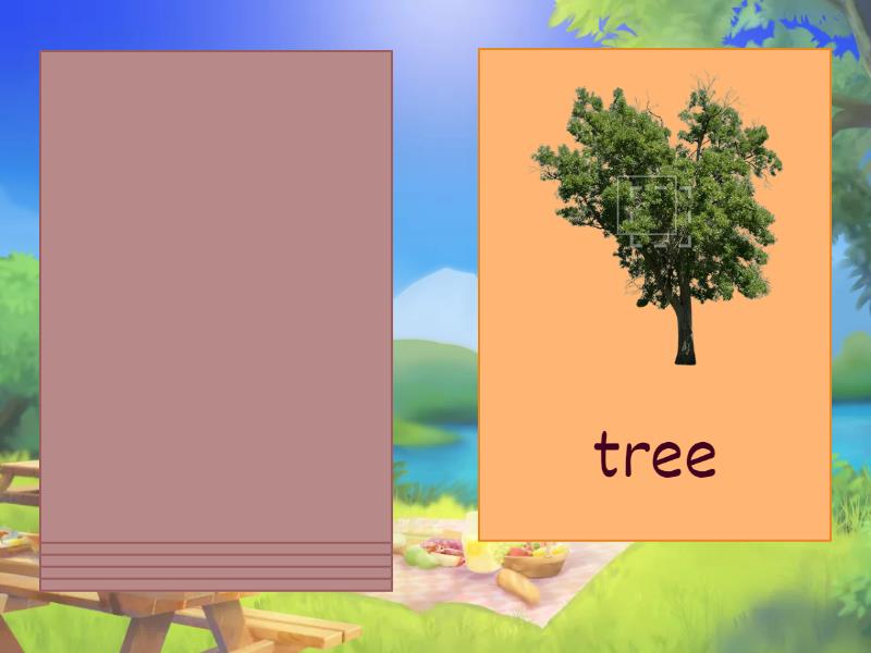 Family and Friends 1 Unit 5 lesson 1 (flashcards) - Cartas al azar