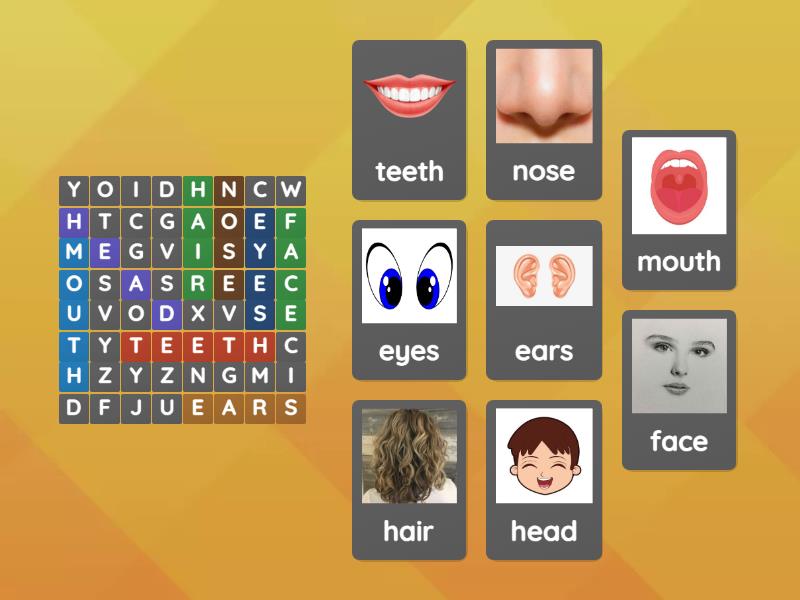 Face parts - Wordsearch