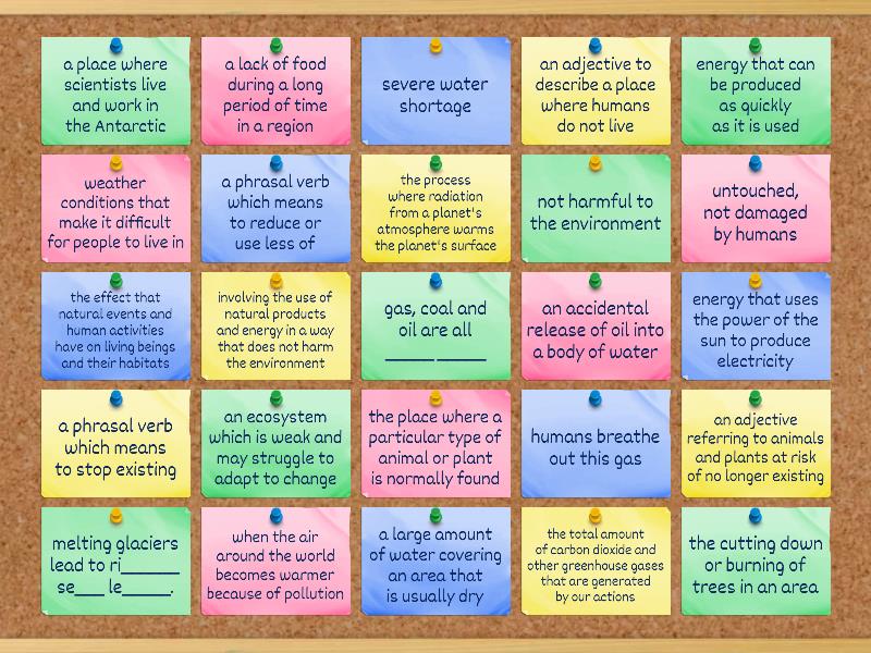 5B Vocabulary: Environment Definitions - Flip tiles