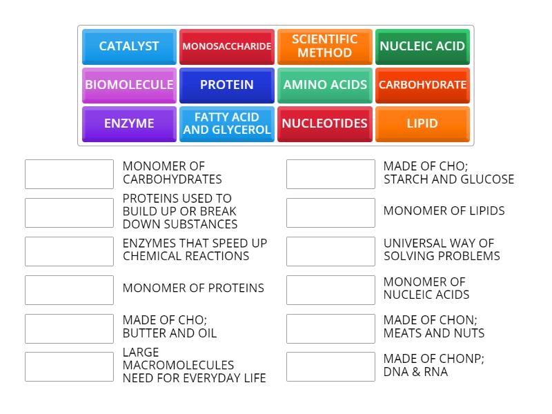 BIOMOLECULES - Match up