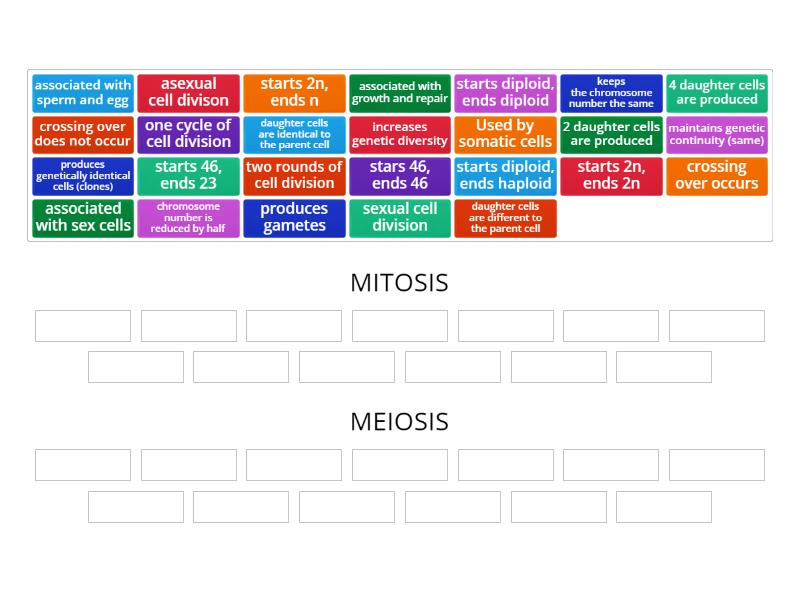Mitosis or Meiosis! Which One Is It? - Ordenar por grupo