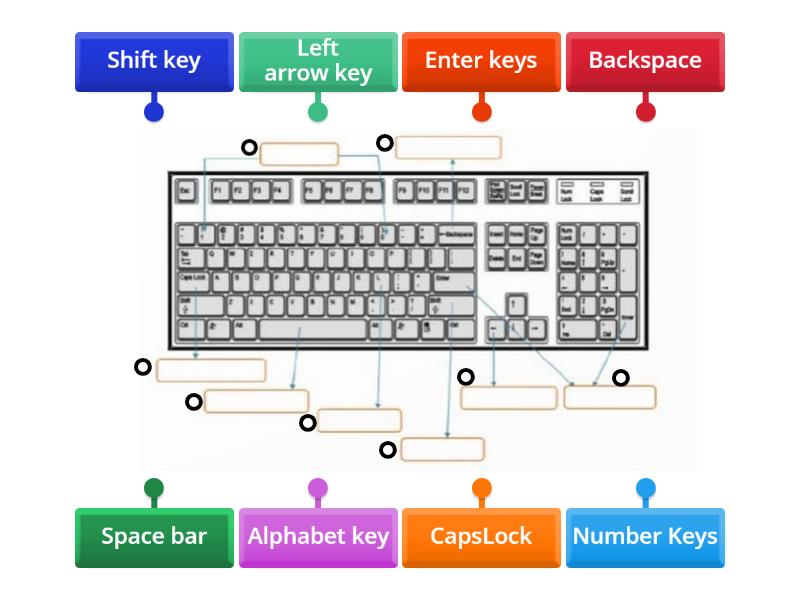 Identify the keys - Labelled diagram