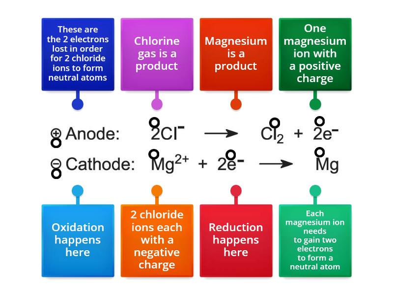 Electrolysis half equations Magnesium chloride - Labelled diagram