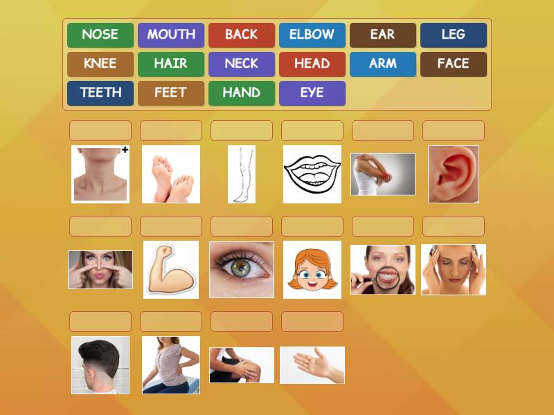 VOCABULARY GAME BODY PARTS - Match up