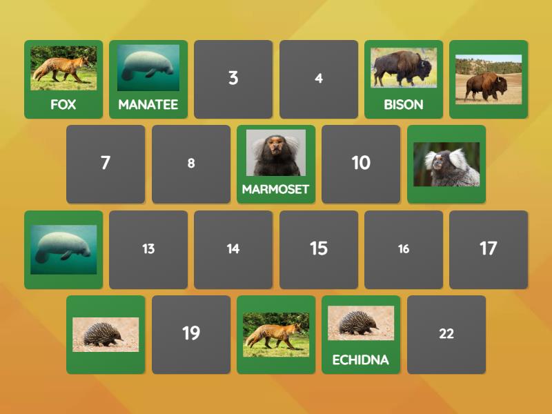 MAMMALS - Matching pairs