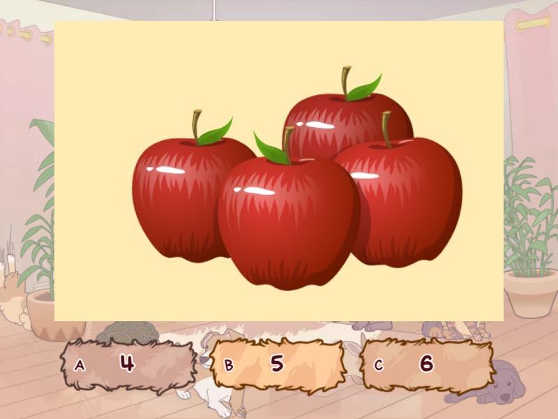 beehive starter - Quiz