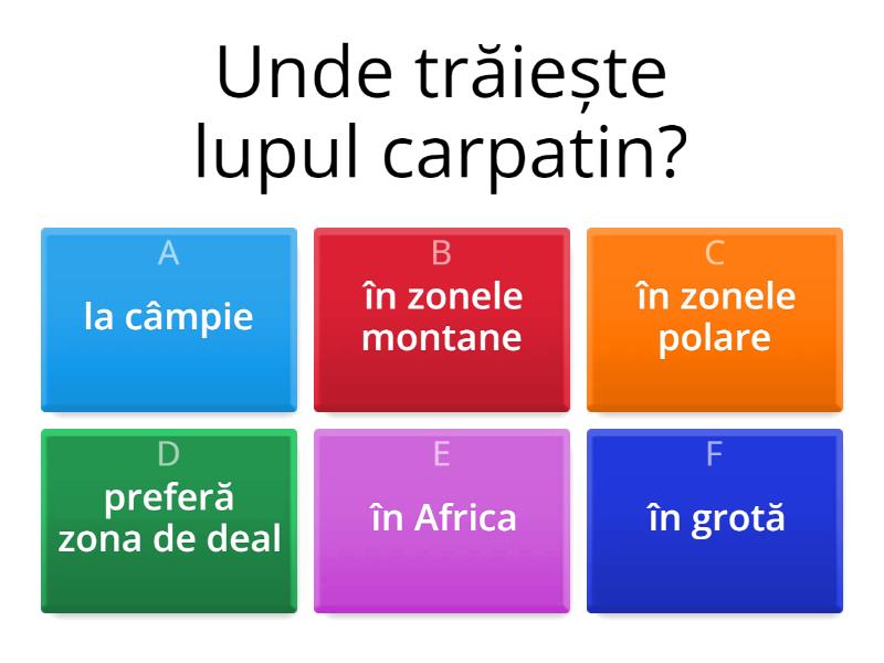 HABITATUL LUPULUI CARPATIN - Quiz