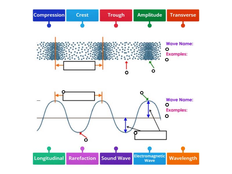Label Parts of Waves - Labelled diagram