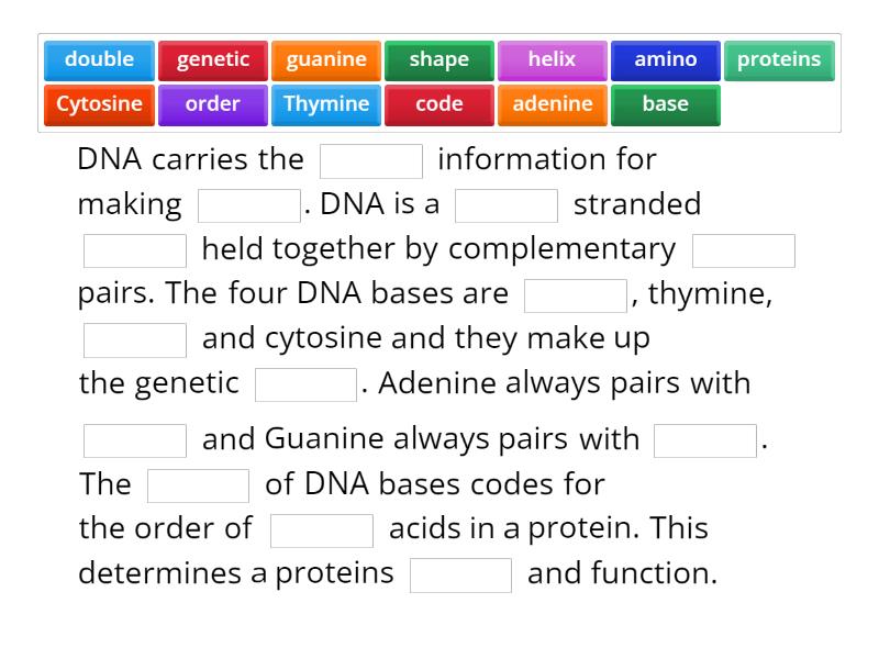 DNA and Production of Proteins - Complete the sentence