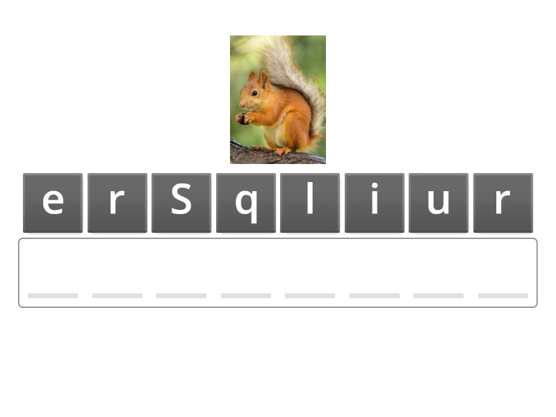 The True Friend - Anagram