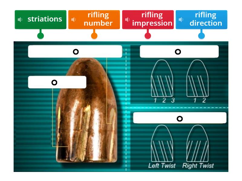 Bullet characteristics - Diagrama con etiquetas
