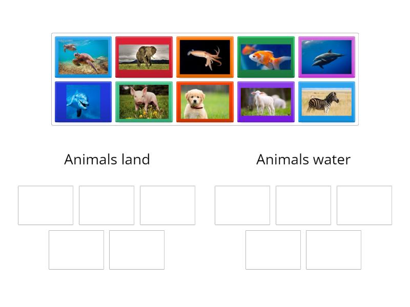Rose Coronel - Sorting pictures - Group sort