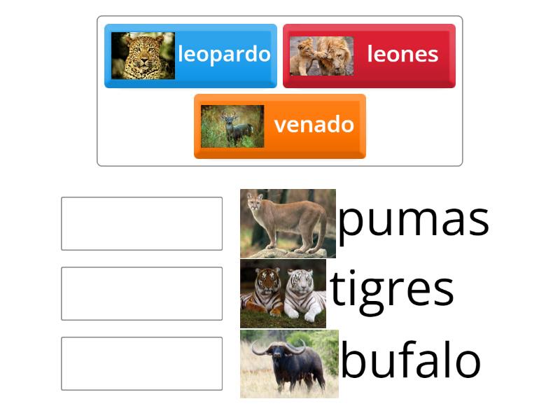 Responde la siguiente actividad - Une las parejas
