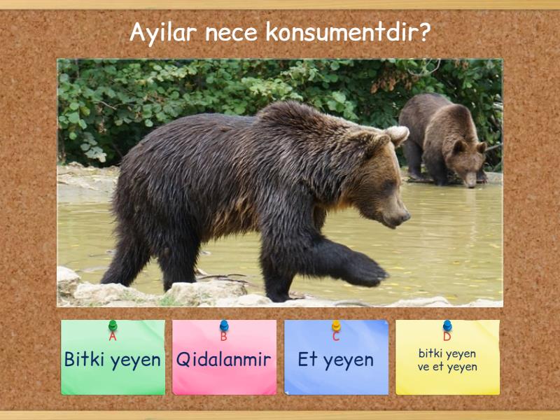 5 ci sinif tebiet testi - Quiz