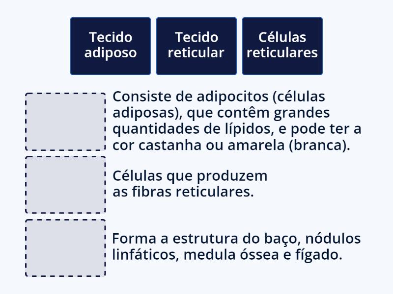 Tecido Adiposo e Reticular - Associação