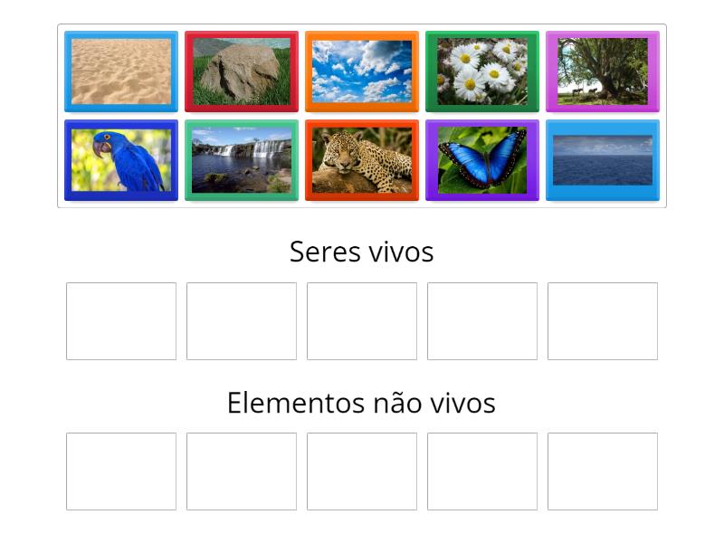 Seres vivos e elementos não vivos - Group sort