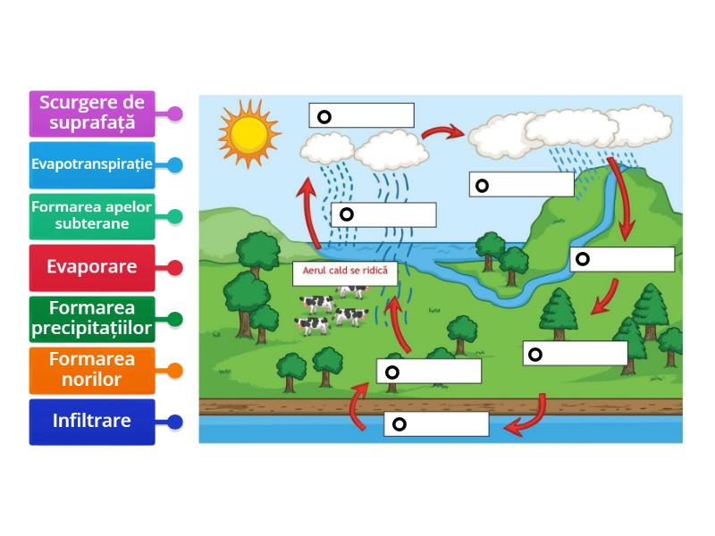 FIȘA DE LUCRU - CIRCUITUL APEI ÎN NATURĂ II - Diagrama con etiquetas