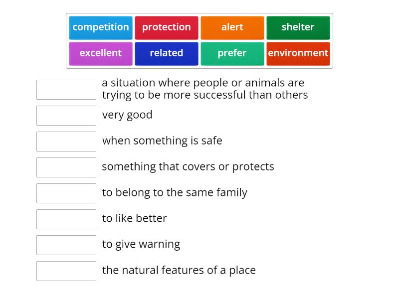 Wonders Unit 4, week 3 - Match up