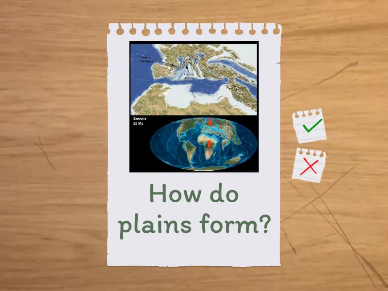 The Plains - Flash cards