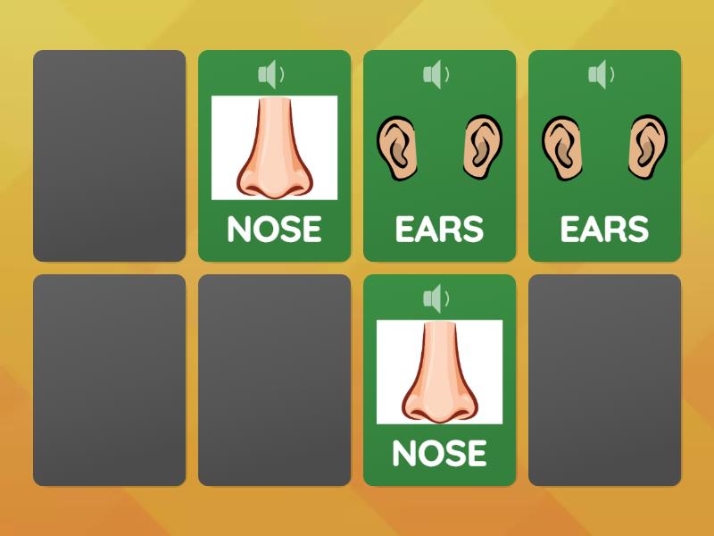 FACE - Matching pairs